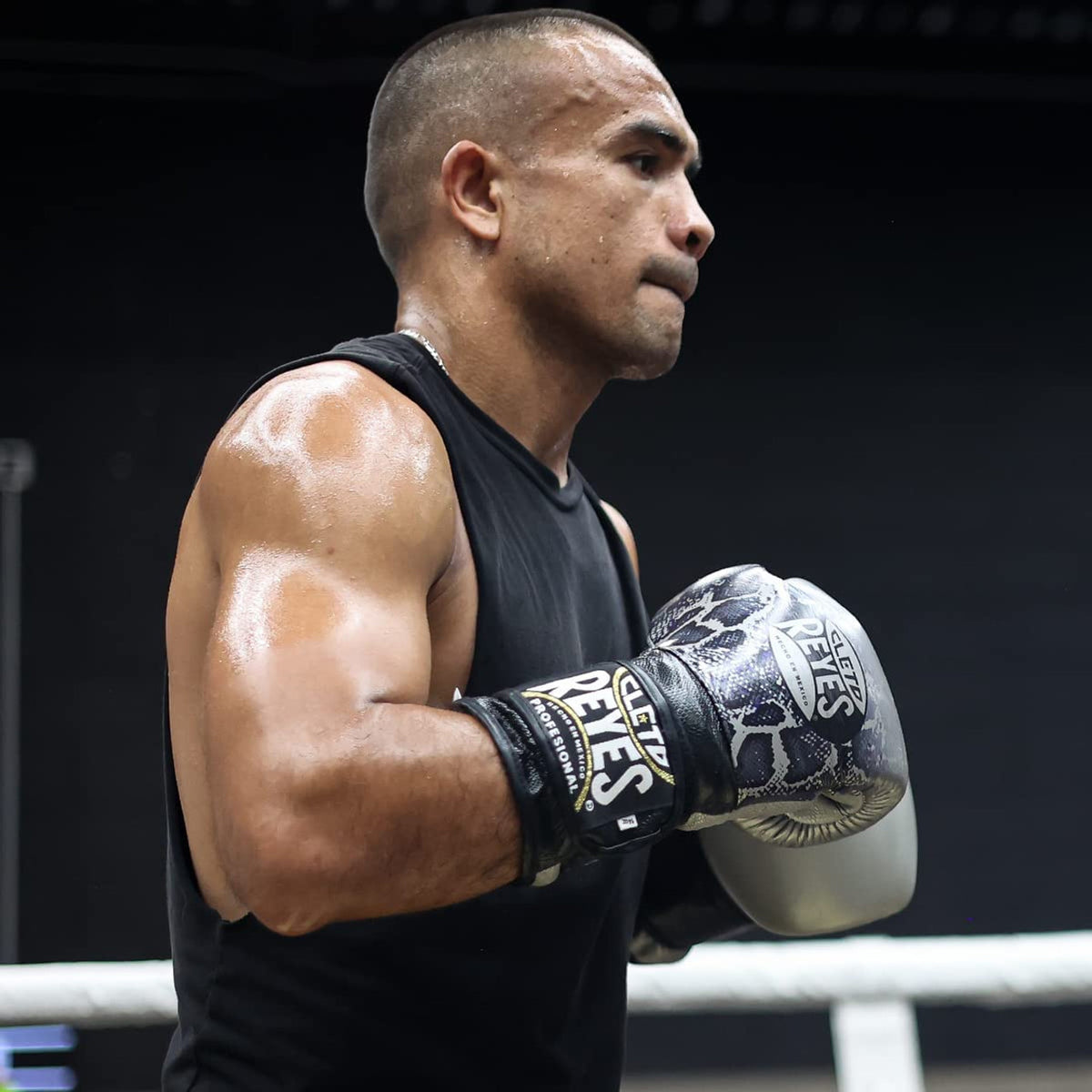 Unleash the Power Within: The Ultimate Guide to Boxing for Fitness